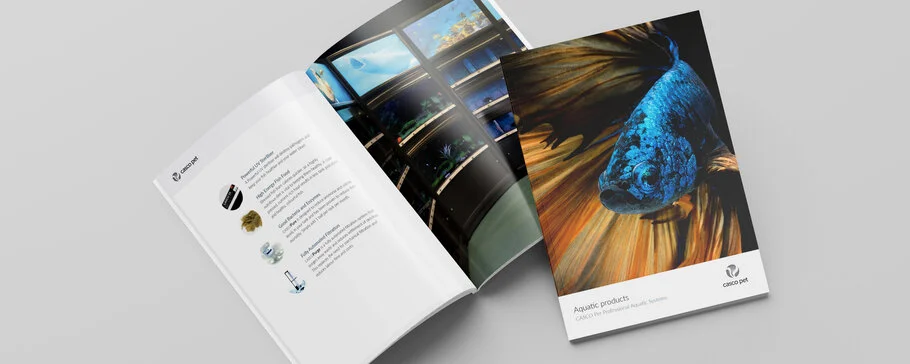 invertebrates display