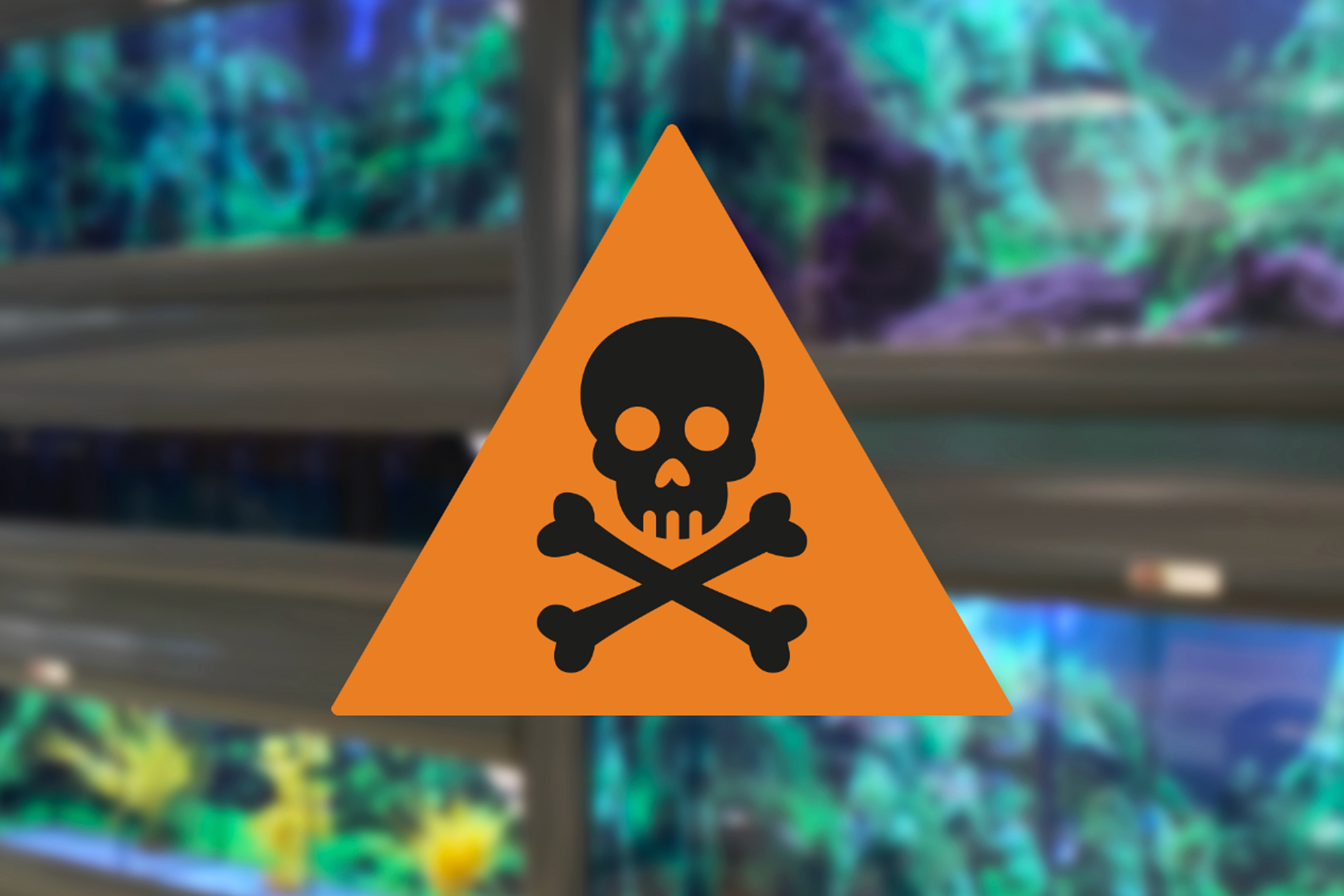 Avoid toxic tank syndrome during COVID-19 lock down | Casco Pet - US